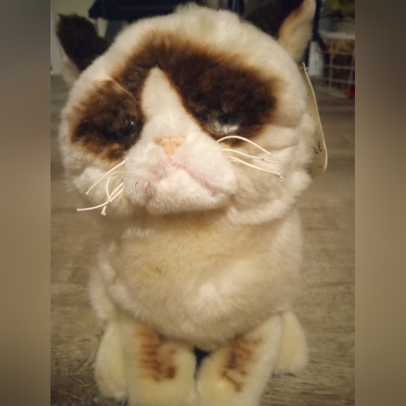 Gund | Toys | Grumpy Cat | Poshmark